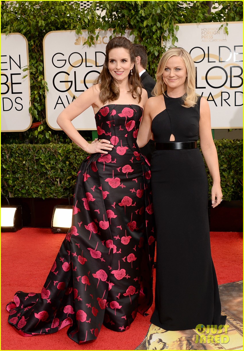 BFFs Tina Fey & Amy Poehler Announce 4-City Comedy Tour Kicking Off In April: Photo 4893794 ...
