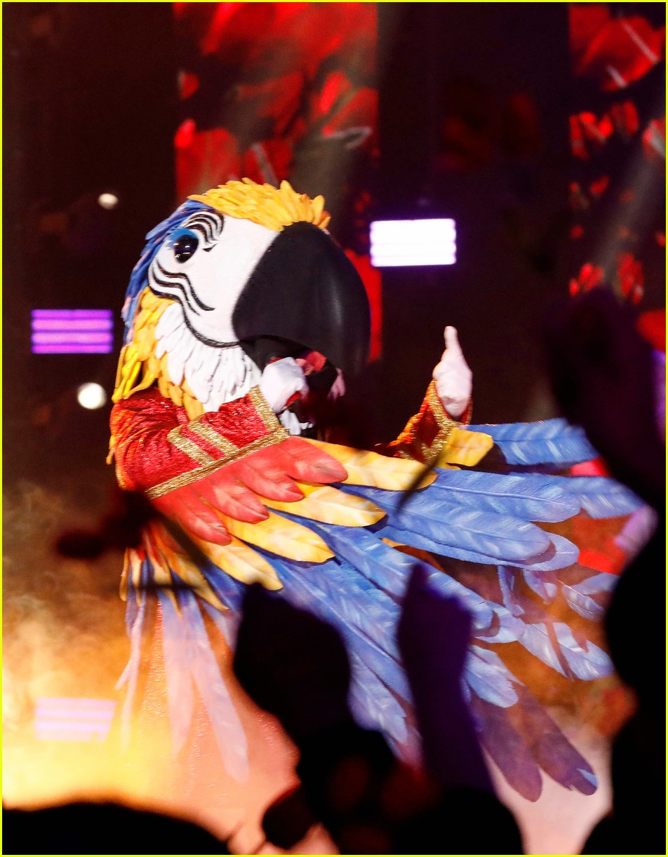 Who is Macaw on 'The Masked Singer' Season 9? Clues, Guesses ...
