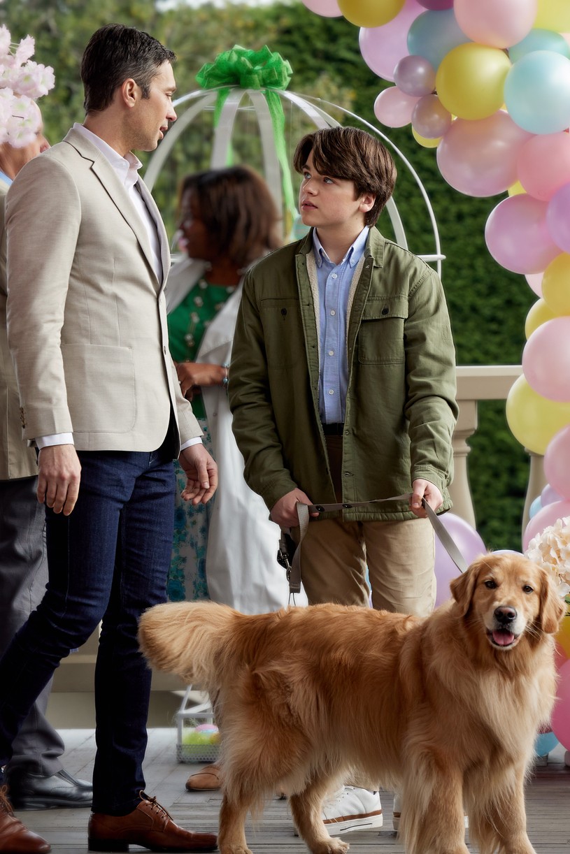 Amanda Schull's Life Gets Turned Around With Carlo Marks in Hallmark's ...