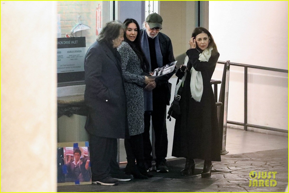 Who Is Al Pacino's Girlfriend? Meet Noor Alfallah with These 5 Things ...