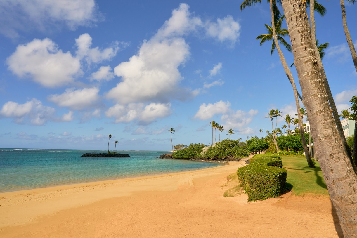 Taylor Cole & Kanoa Goo Kick Off Hallmark Channel's Summer Nights ...