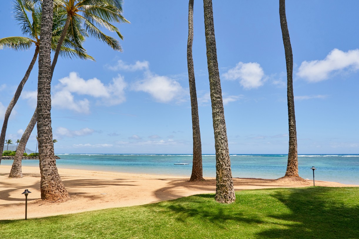 Taylor Cole & Kanoa Goo Kick Off Hallmark Channel's Summer Nights ...