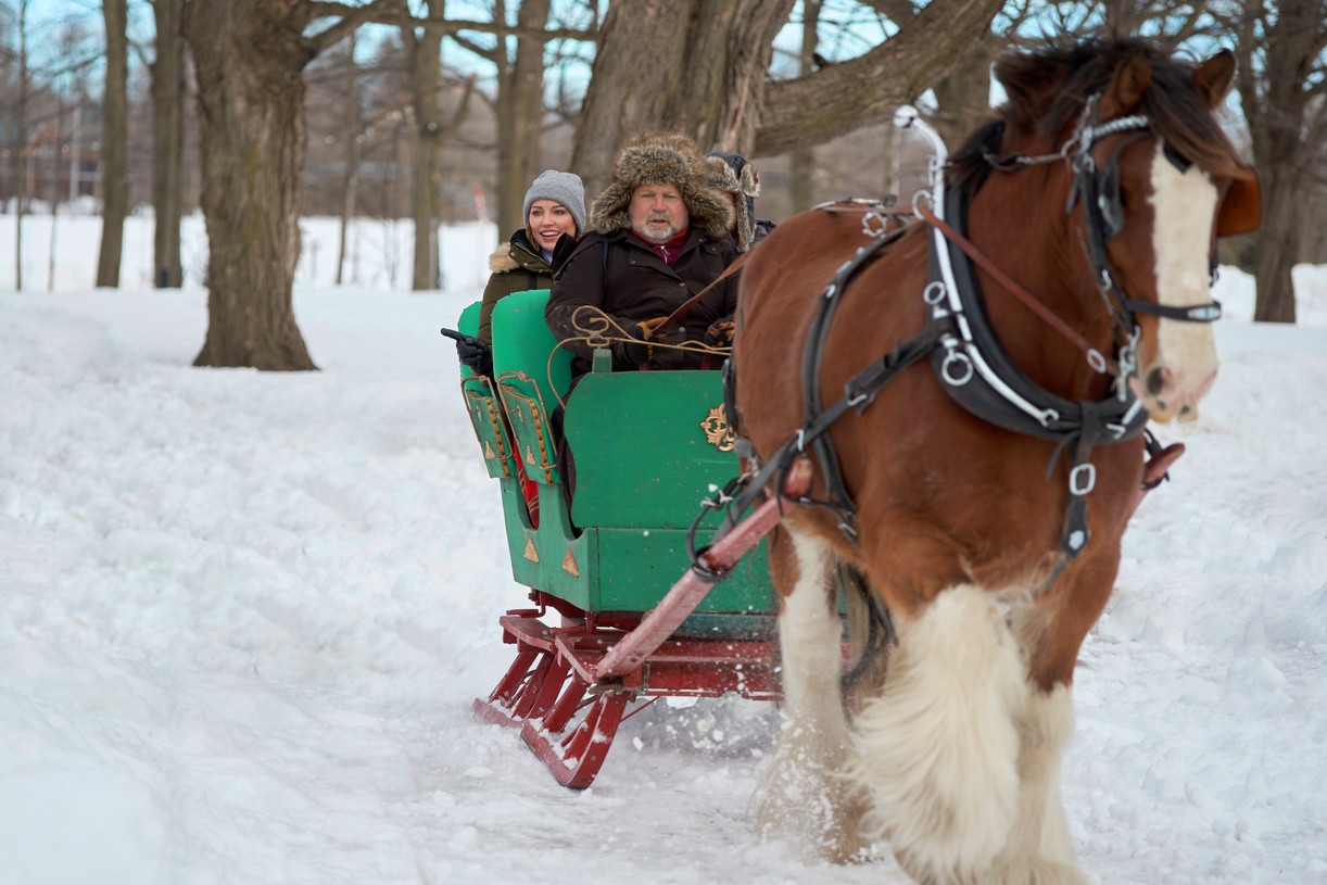 Katie Cassidy & Stephen Huszar Talk Finding Love Off Screen & The One ...