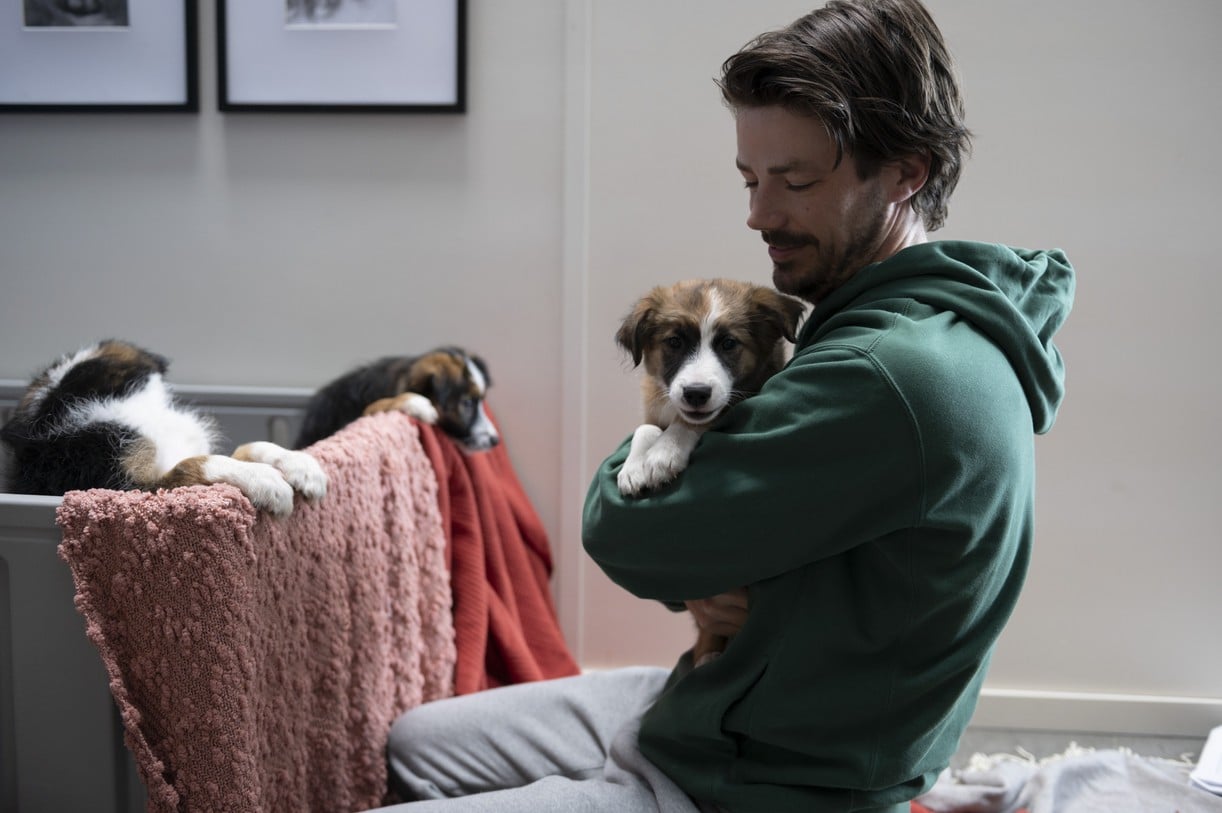 Pup Channing Tatum Takes Center Stage in Lucy Hale & Grant Gustin's ‘Puppy Love’ Movie : Photo ...