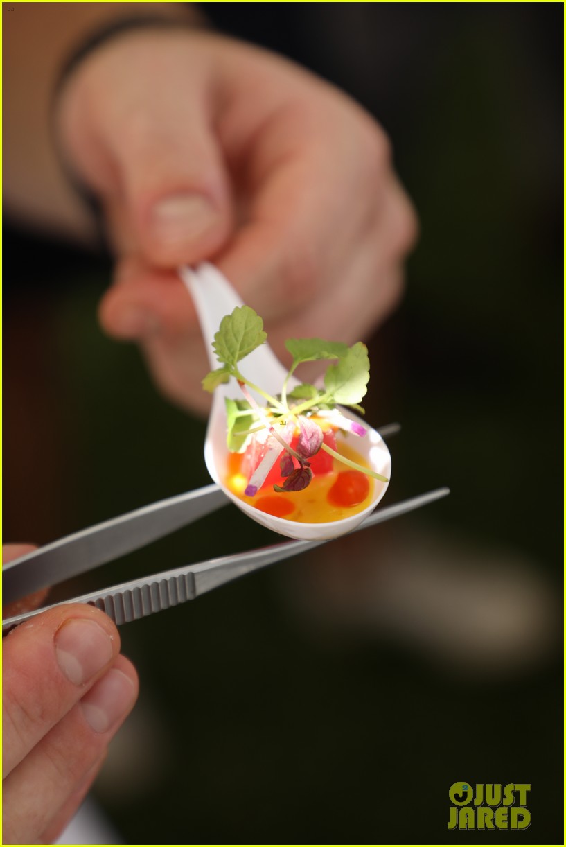 Dakota & Elle Fanning Attend L.A. Loves Alex's Lemonade Chefs Event ...