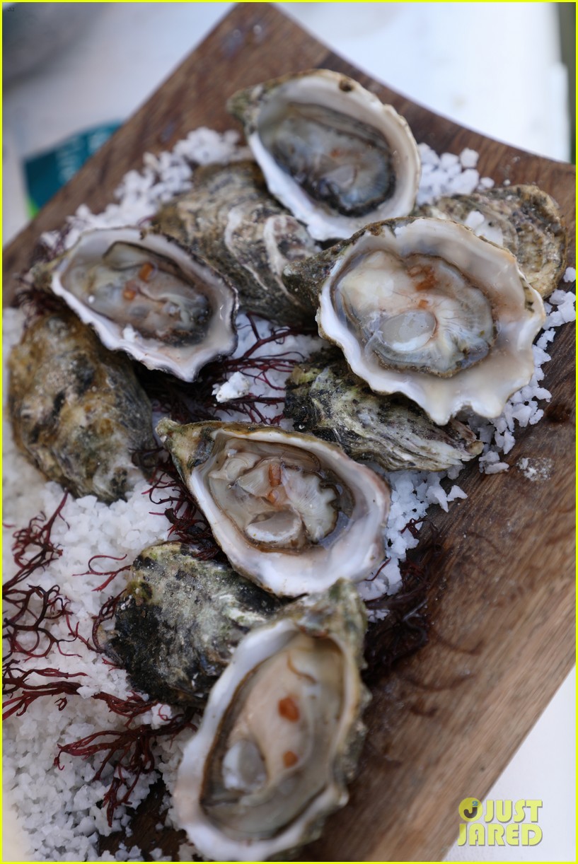 Dakota & Elle Fanning Attend L.A. Loves Alex's Lemonade Chefs Event ...