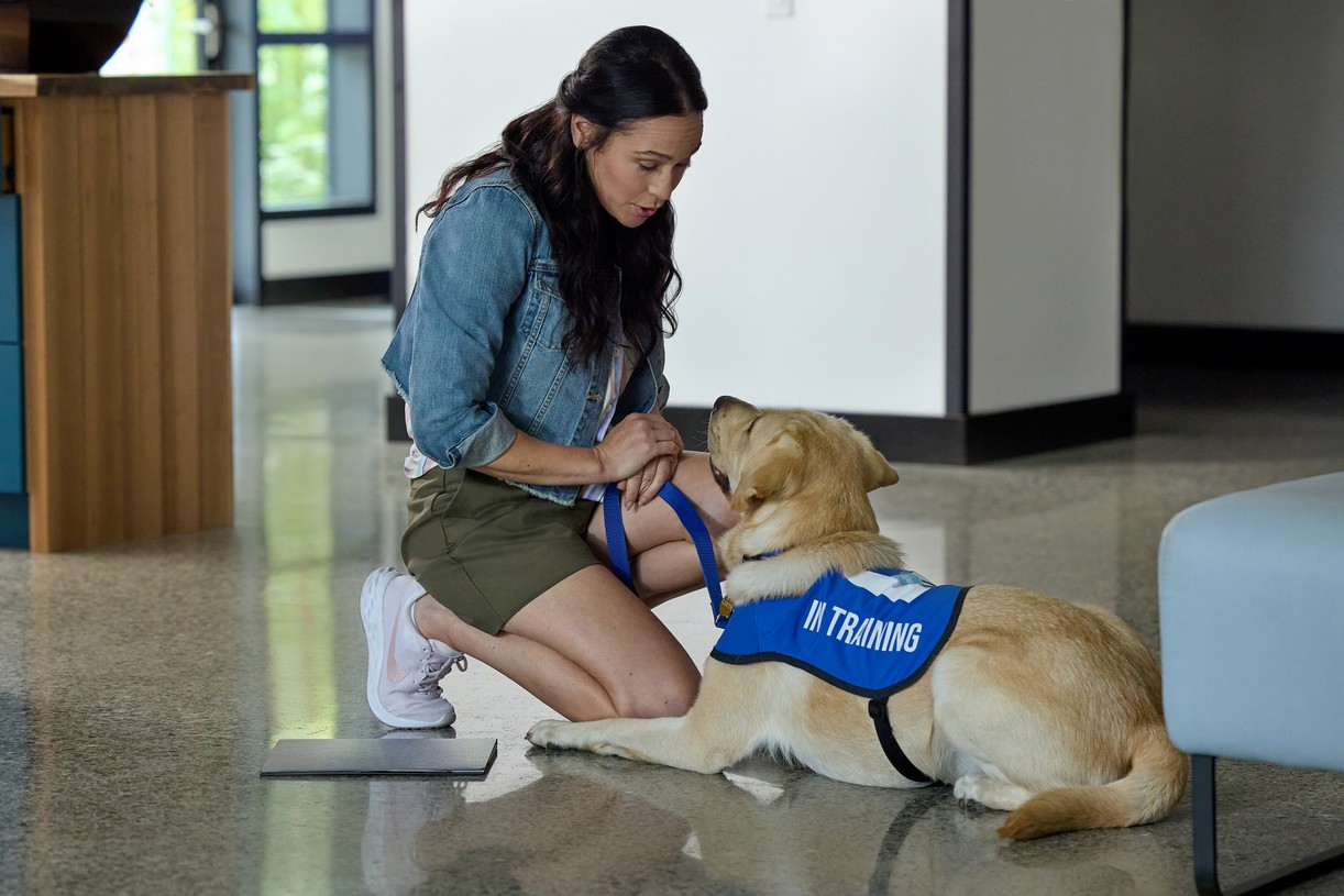 Hallmark Channel Puts A Spotlight On Guide Dogs in 'Guiding Emily ...