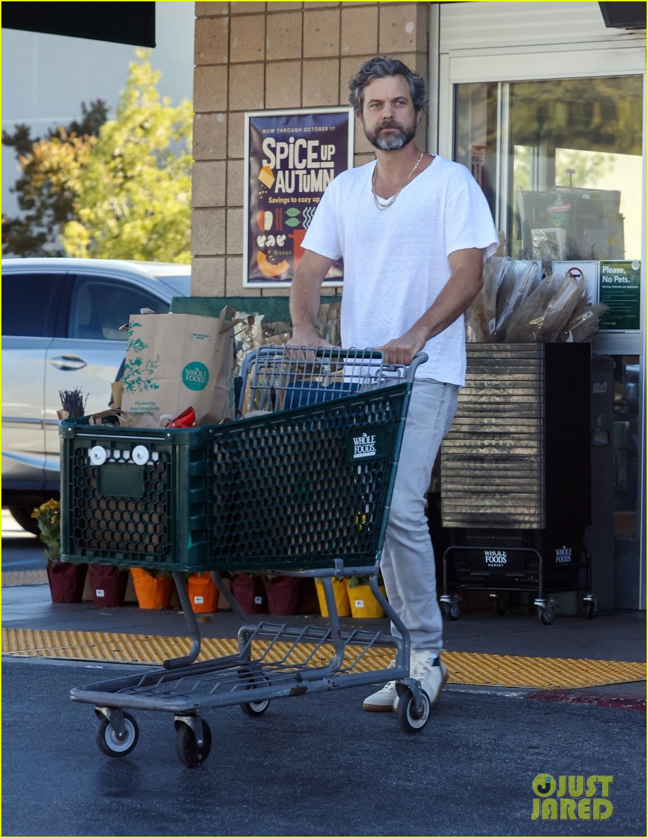 Joshua Jackson Spotted Grocery Shopping in L.A. Amid Split from Wife ...