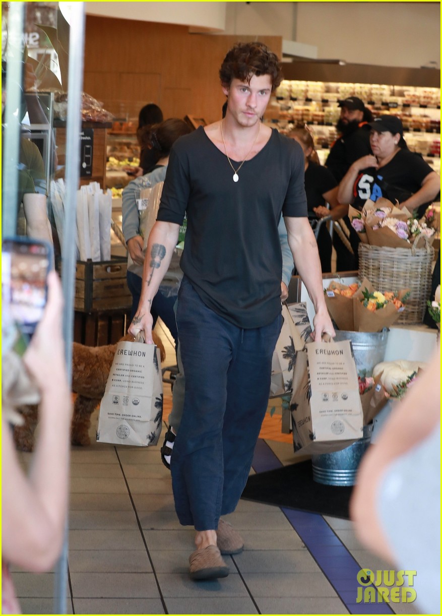 Shawn Mendes Does Some Grocery Shopping Following Beach Day with 'Big ...