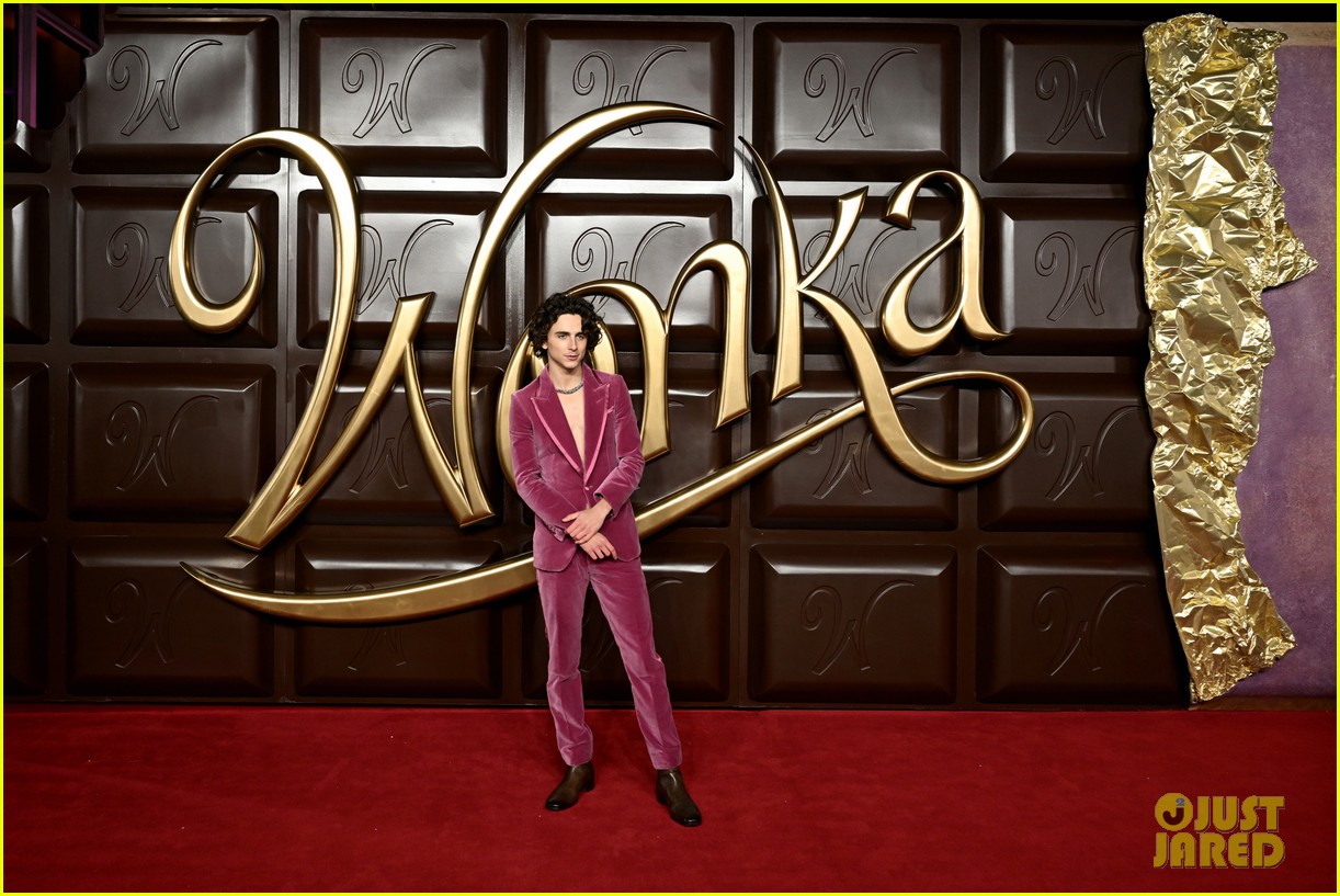 Full 'Wonka' Movie Cast Joins Timothee Chalamet at London Red Carpet ...
