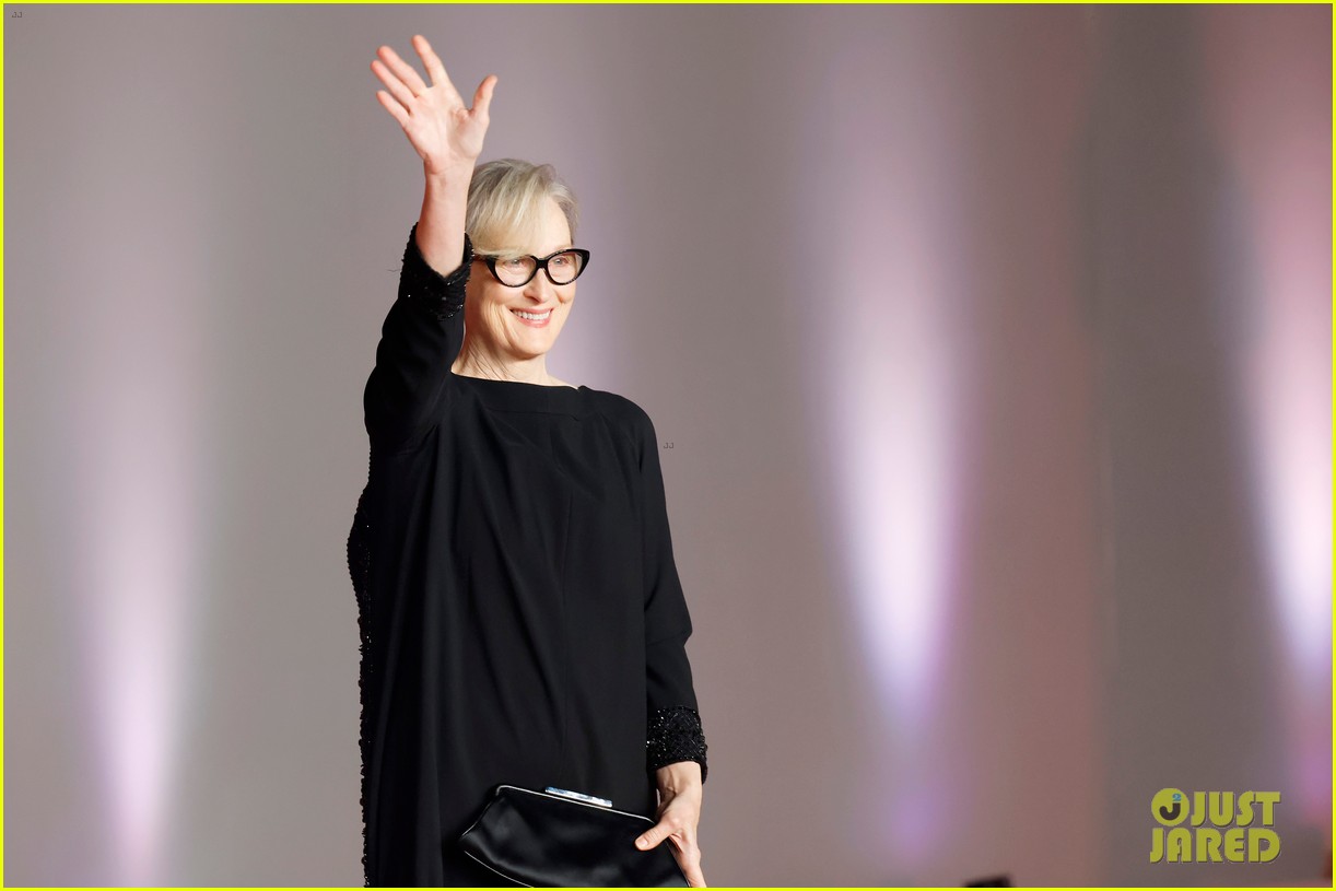 Meryl Streep Makes Rare Appearance with All Four Kids at Academy Museum ...