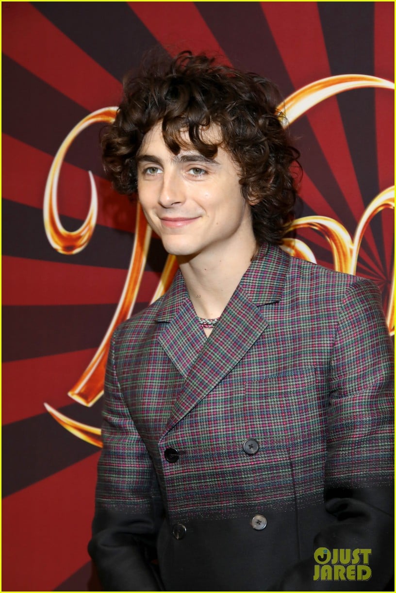 Photo: timothee chalamet wonka canadian premiere 29 | Photo 4995217 ...