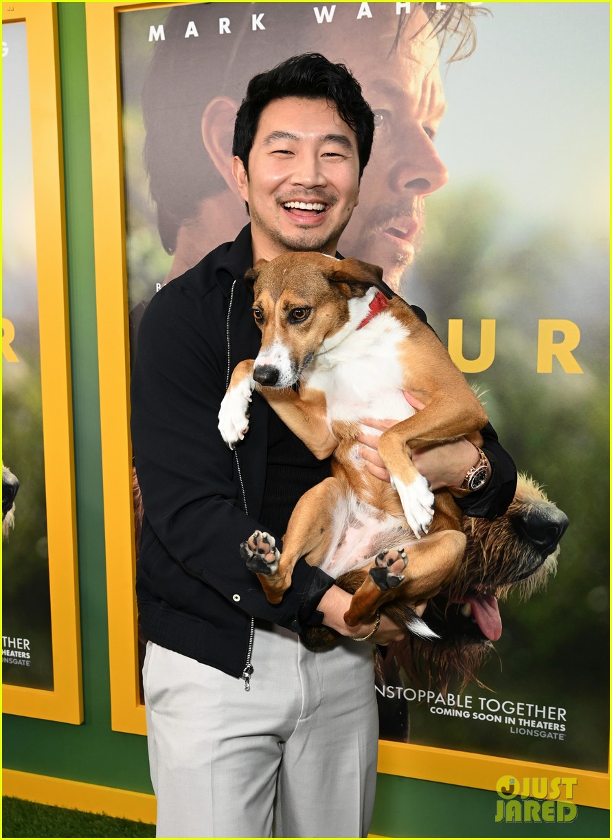 Simu Liu Brings Girlfriend Allison Hsu & Dog Chopa to 'Arthur the King ...