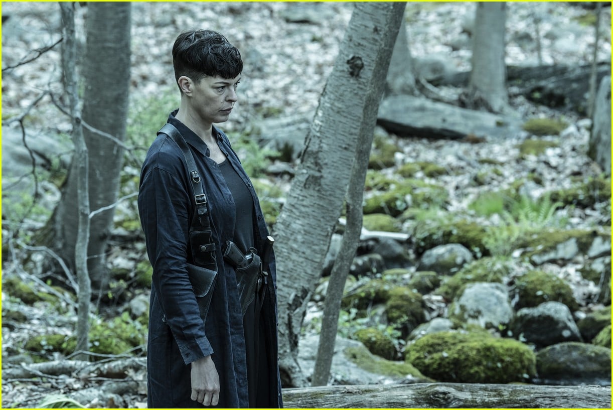 'Walking Dead' Showrunner Previously Teased What Fans Can Expect From Rick & Michonne Series ...