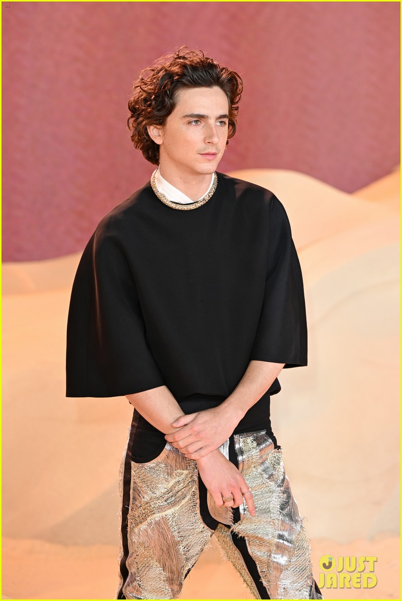 Timothee Chalamet, Florence Pugh & Austin Butler Wow at 'Dune: Part Two ...