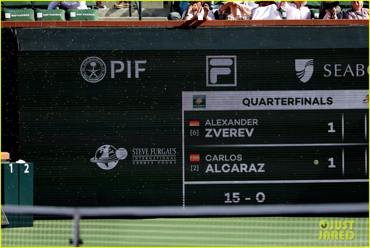Carlos Alcaraz Attacked By Bees During Tennis Tournament in Indian ...