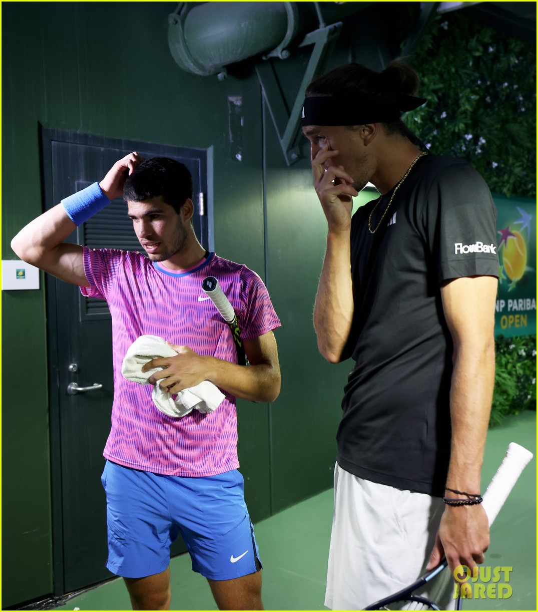 Carlos Alcaraz Attacked By Bees During Tennis Tournament in Indian ...