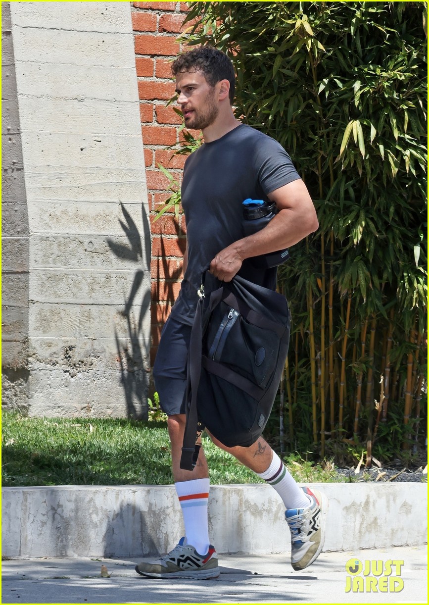 Theo James Hits the Gym for Morning Workout in Venice Beach: Photo ...