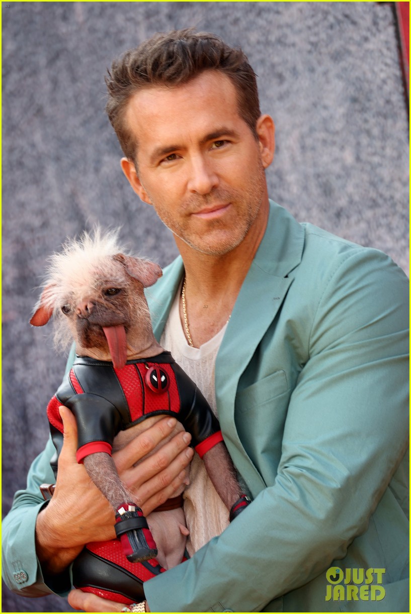 Ryan Reynolds & Hugh Jackman Bring Dogpool Actor Along to 'Deadpool & Wolverine' Event in London ...