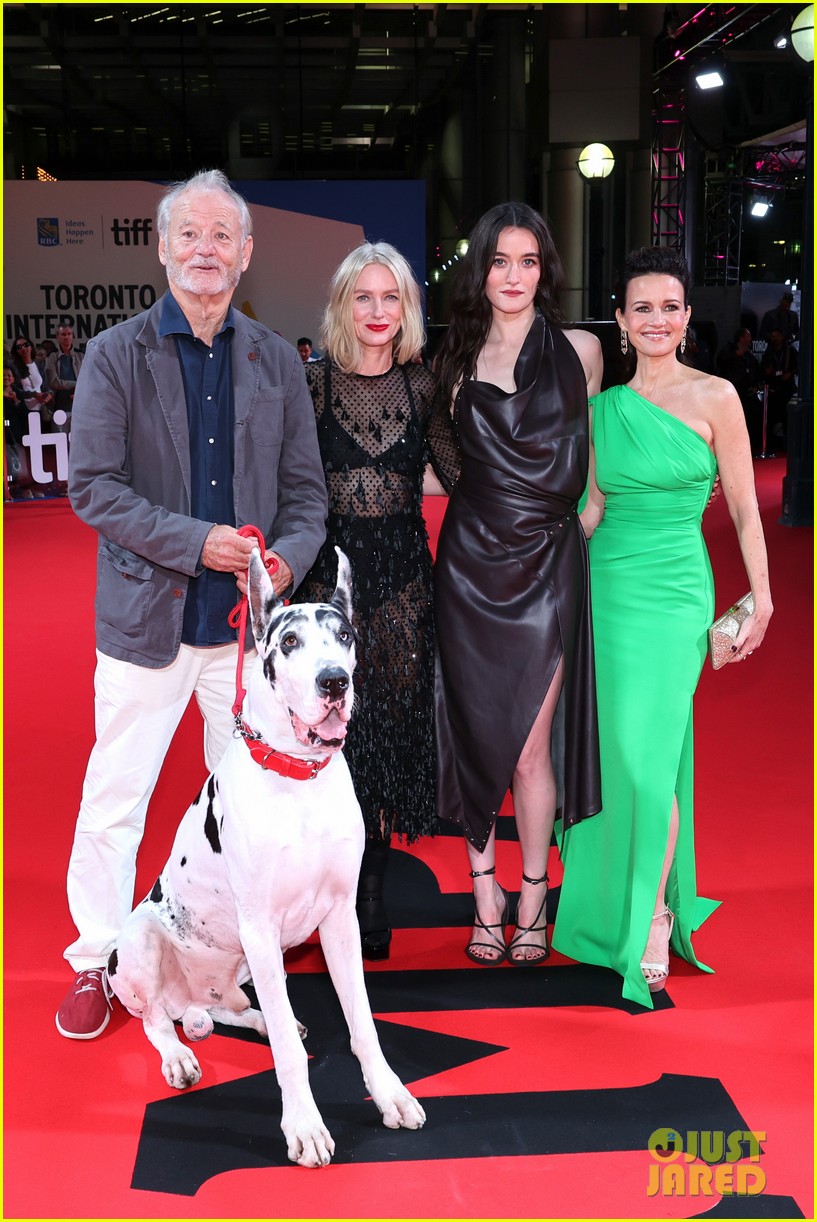 Naomi Watts Gets Escorted into TIFF 2024 Premiere of 'The Friend' by Co ...