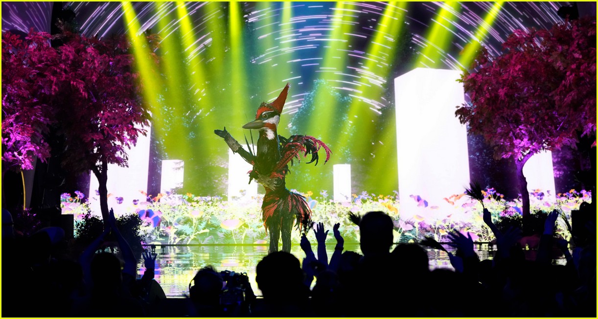 Who is Woodpecker on 'The Masked Singer' Season 12? Clues, Guesses ...