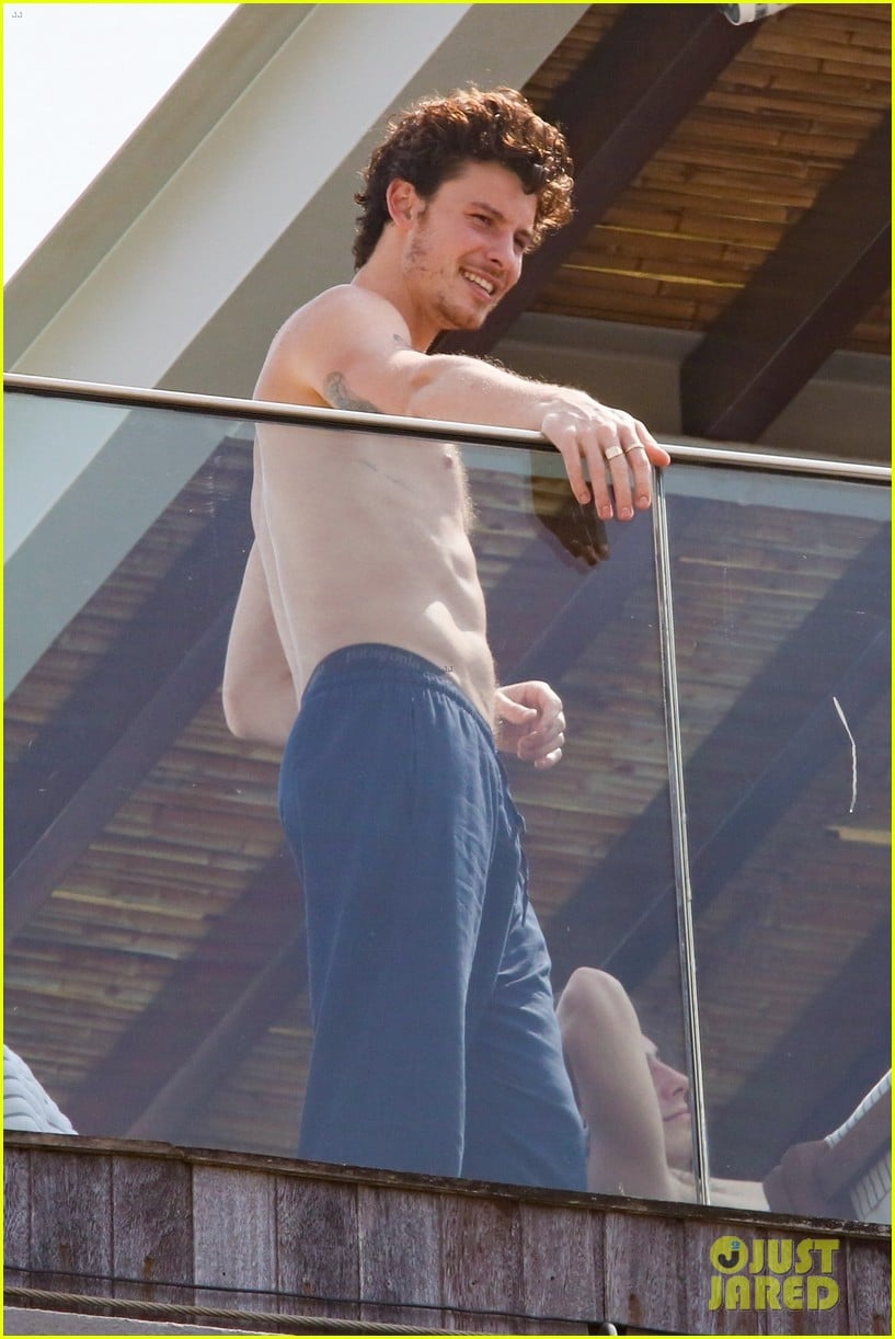 Shawn Mendes Touches Down in Rio, Chills Shirtless by the Pool at His ...
