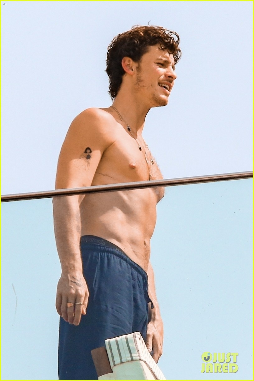 Shawn Mendes Touches Down in Rio, Chills Shirtless by the Pool at His ...