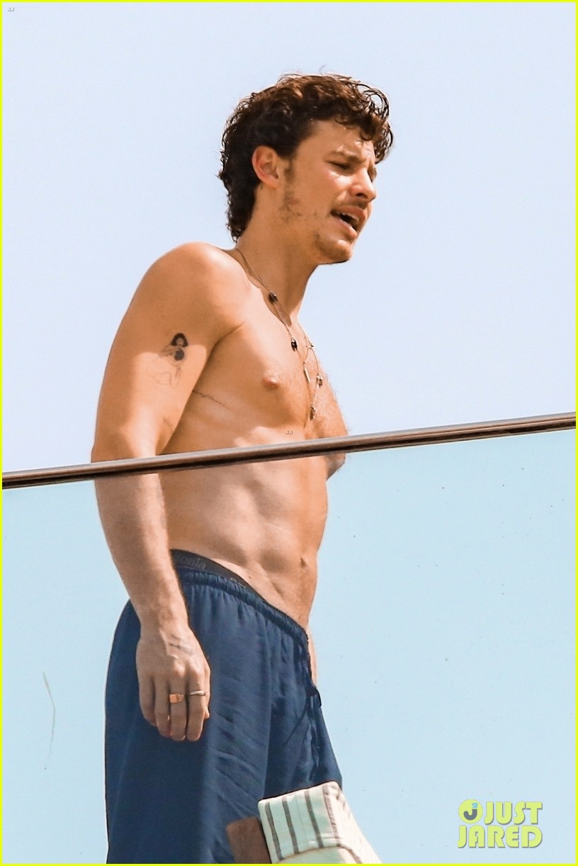 Shawn Mendes Touches Down in Rio, Chills Shirtless by the Pool at His ...