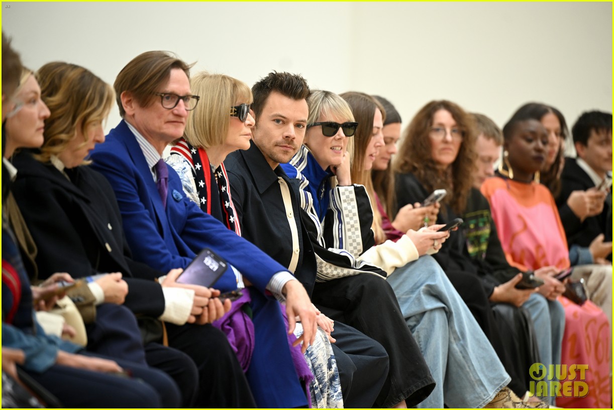 Harry Styles Makes Rare Public Appearance, Sits Front Row at SS Daley ...