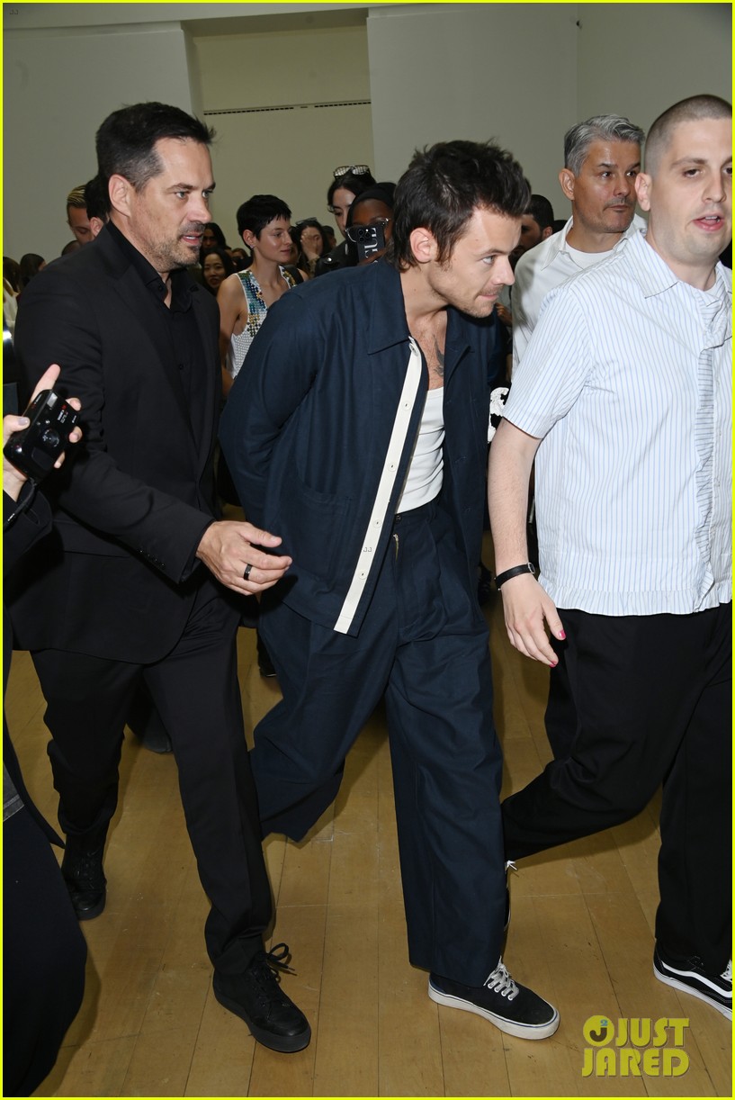 Harry Styles Makes Rare Public Appearance, Sits Front Row at SS Daley ...