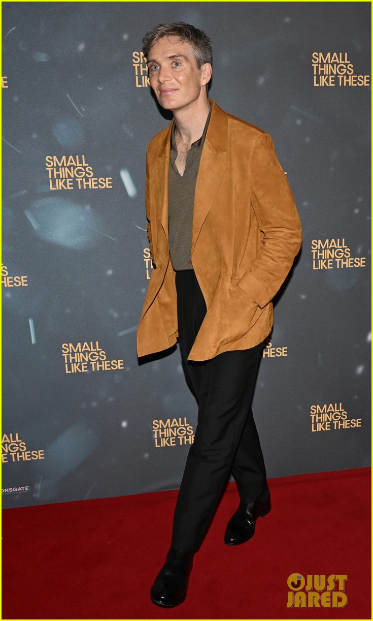 Cillian Murphy Returns to Red Carpet for 'Small Things Like These ...