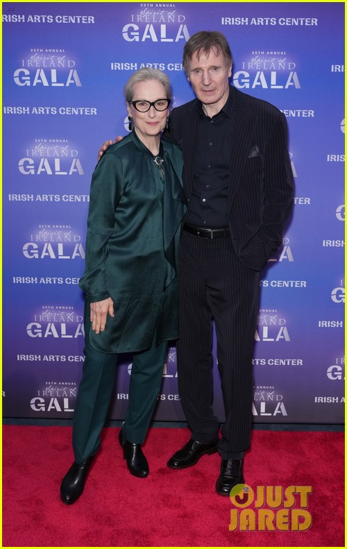Liam Neeson Presents Meryl Streep With Spirit of Ireland Award at Irish ...