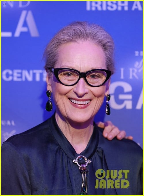 Liam Neeson Presents Meryl Streep With Spirit of Ireland Award at Irish ...