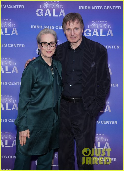 Liam Neeson Presents Meryl Streep With Spirit of Ireland Award at Irish ...