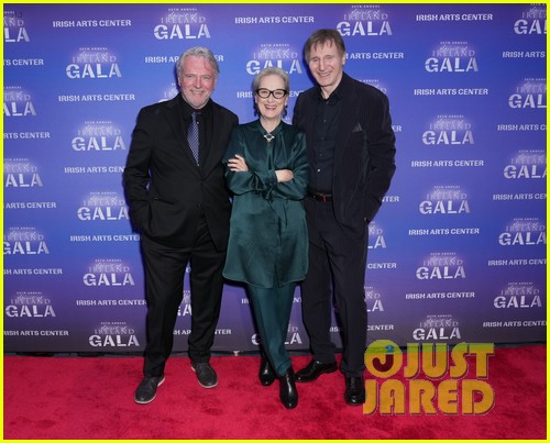 Liam Neeson Presents Meryl Streep With Spirit of Ireland Award at Irish ...