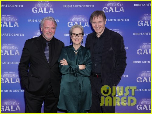 Liam Neeson Presents Meryl Streep With Spirit of Ireland Award at Irish ...