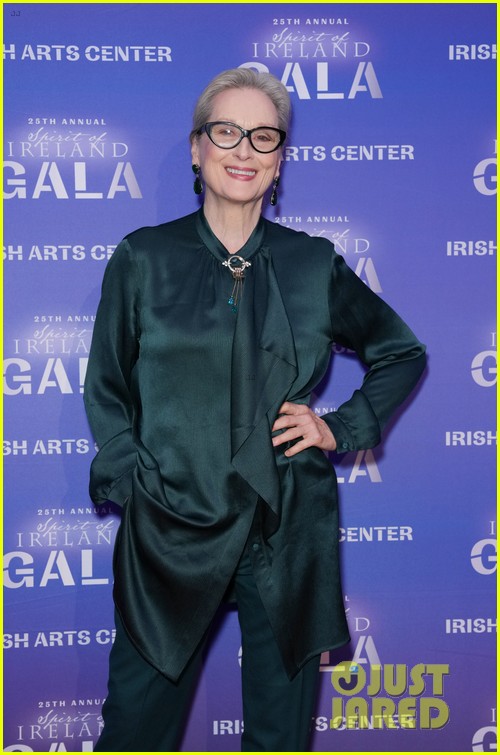 Liam Neeson Presents Meryl Streep With Spirit of Ireland Award at Irish ...