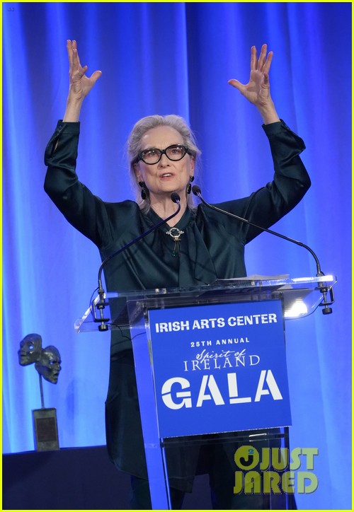 Liam Neeson Presents Meryl Streep With Spirit of Ireland Award at Irish ...