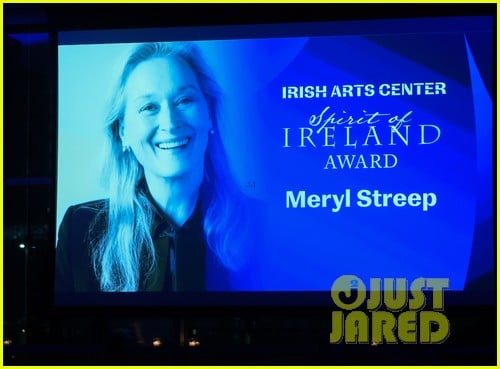 Liam Neeson Presents Meryl Streep With Spirit of Ireland Award at Irish ...