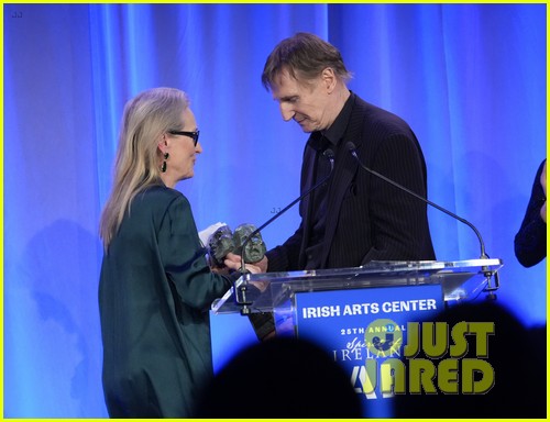 Liam Neeson Presents Meryl Streep With Spirit of Ireland Award at Irish ...