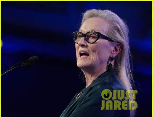 Liam Neeson Presents Meryl Streep With Spirit of Ireland Award at Irish ...
