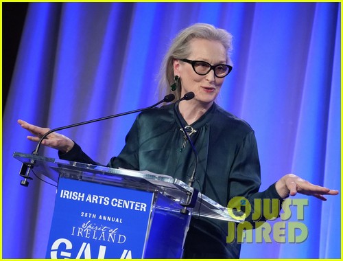Liam Neeson Presents Meryl Streep With Spirit of Ireland Award at Irish ...
