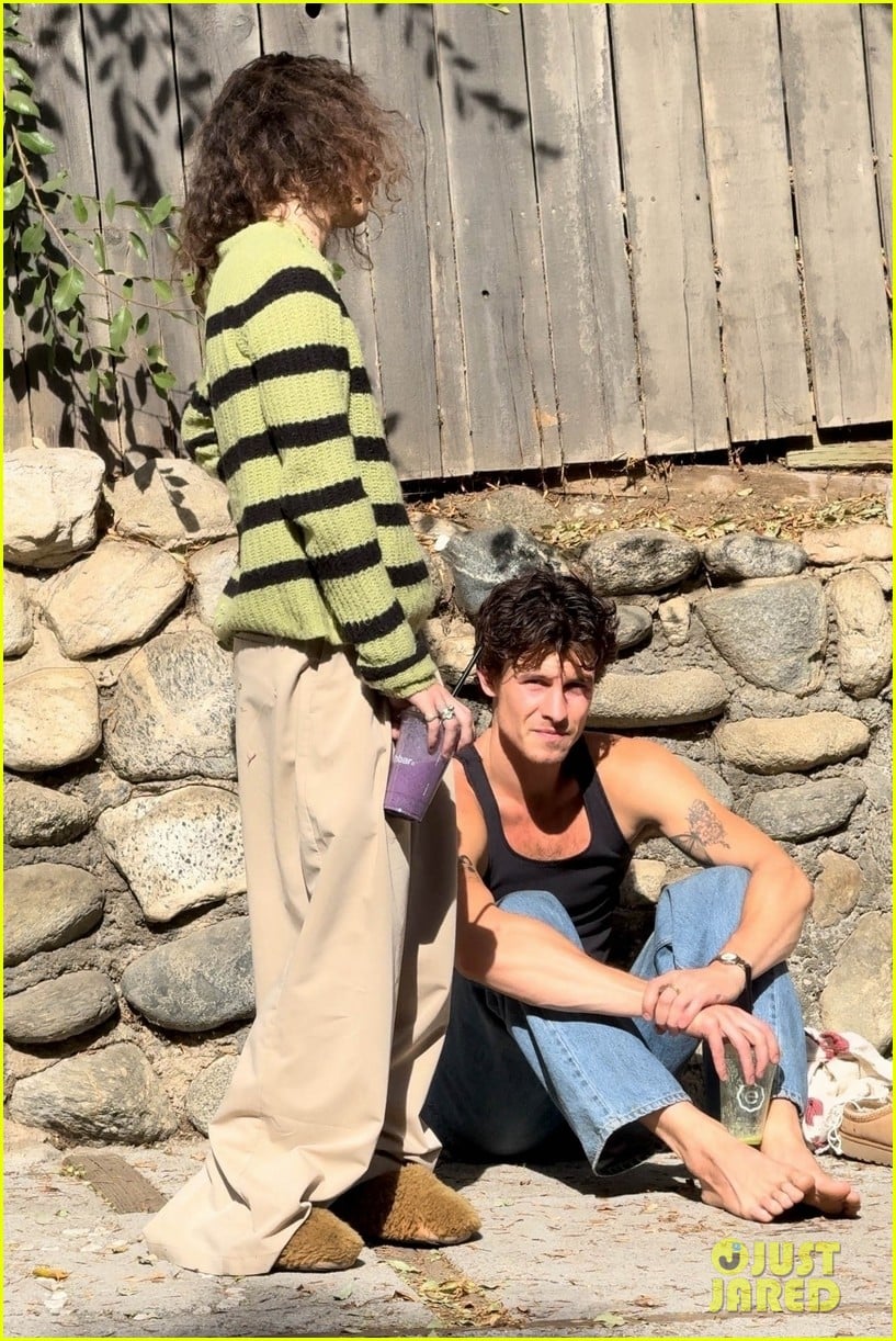 Shawn Mendes Enjoys Down Time in West Hollywood Ahead of His New Album ...