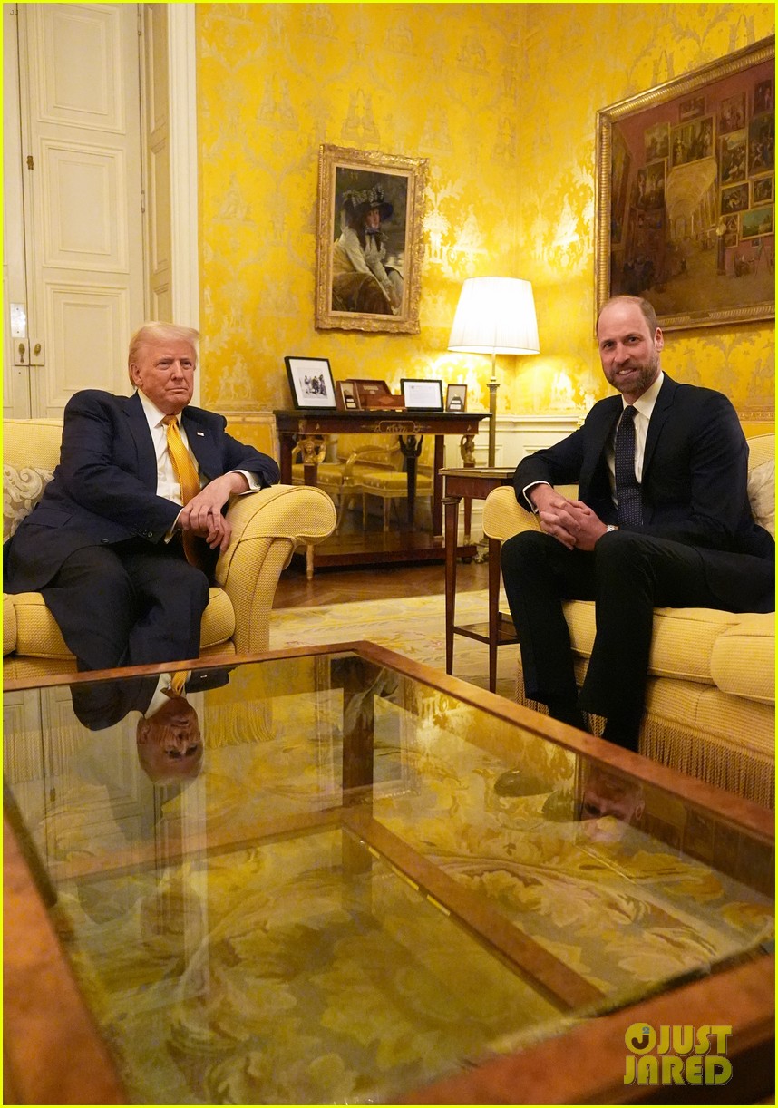 Donald Trump Meets With Prince William in Paris - Details of Their ...