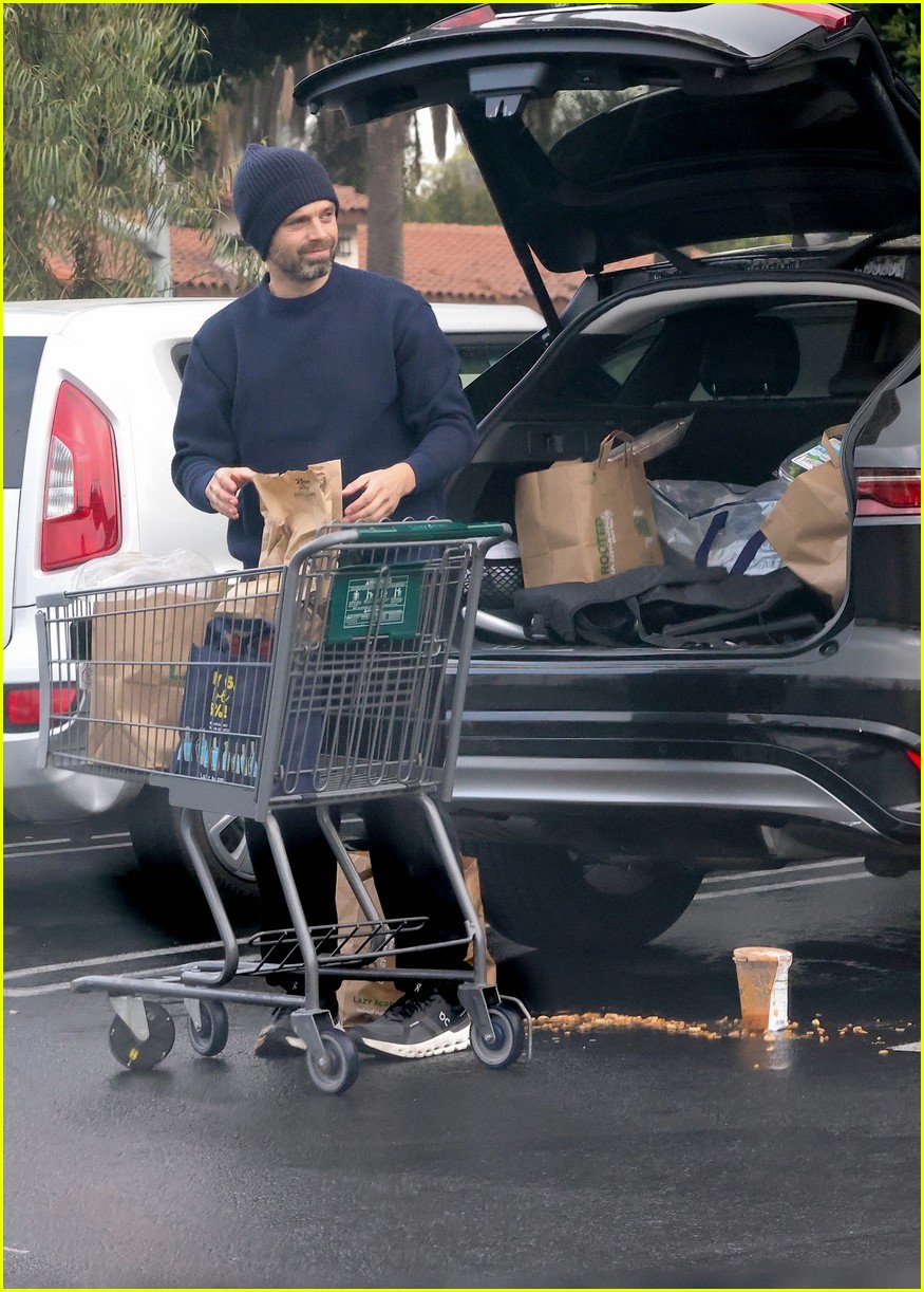 Sebastian Stan & Annabelle Wallis Spotted Shopping for Groceries on ...