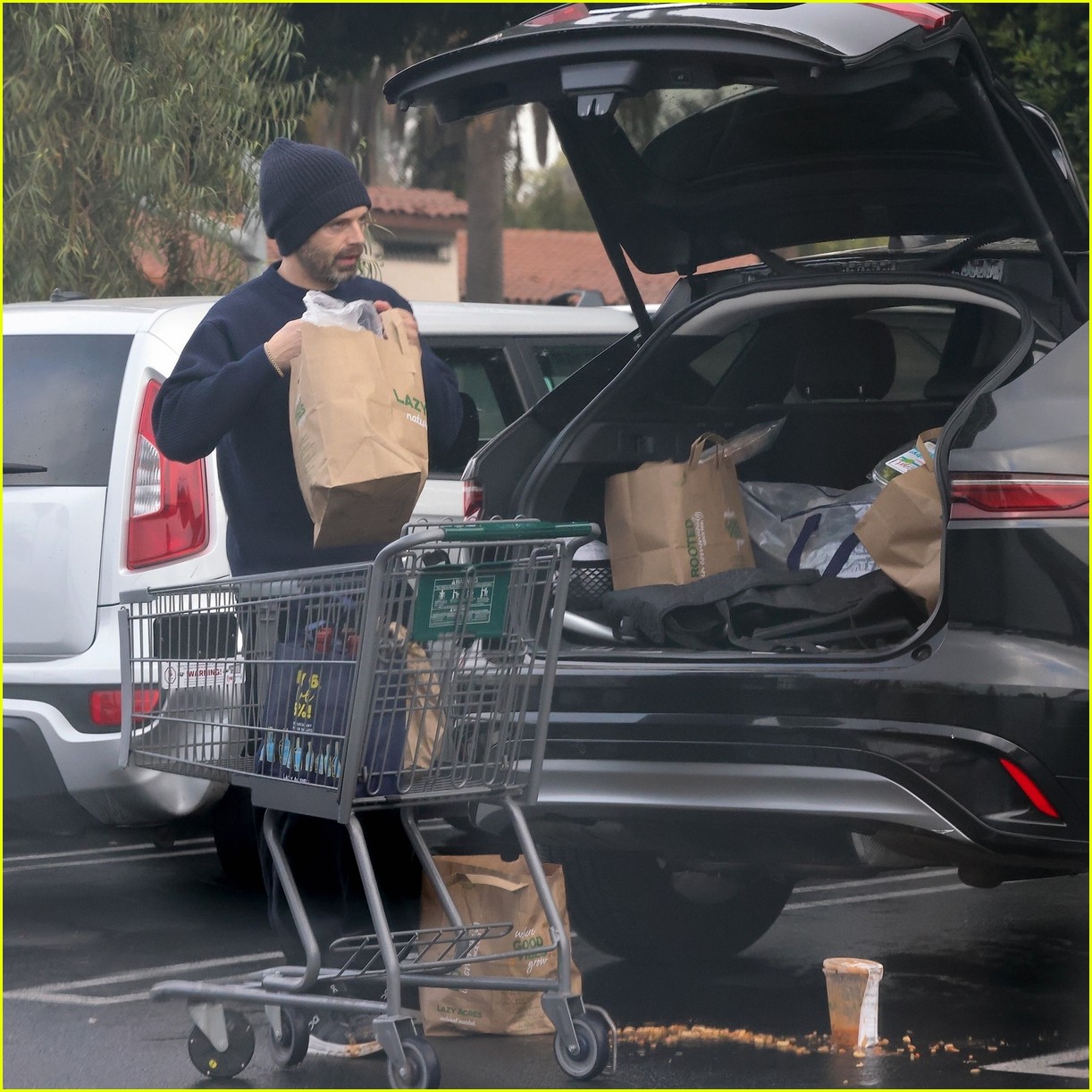 Sebastian Stan & Annabelle Wallis Spotted Shopping for Groceries on ...
