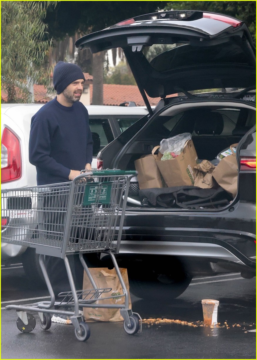 Sebastian Stan & Annabelle Wallis Spotted Shopping for Groceries on ...
