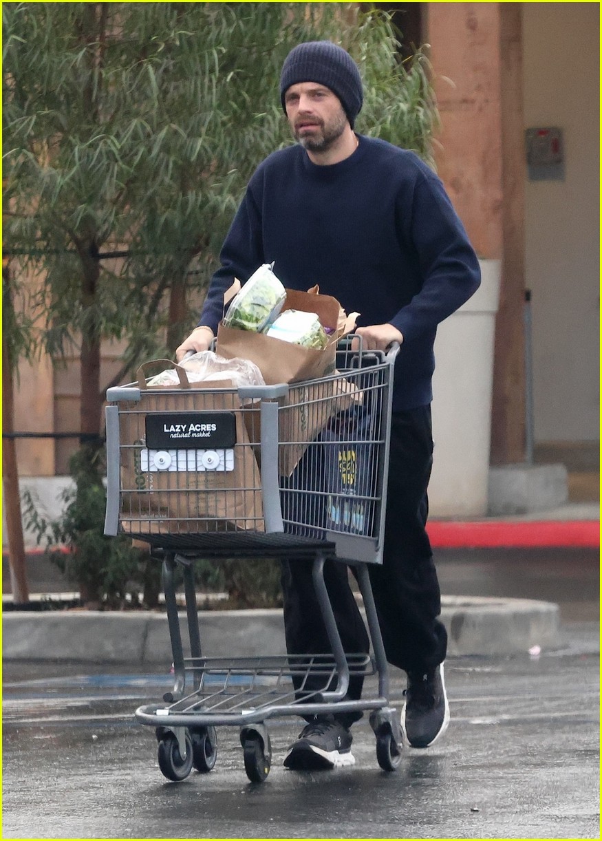 Sebastian Stan & Annabelle Wallis Spotted Shopping for Groceries on ...