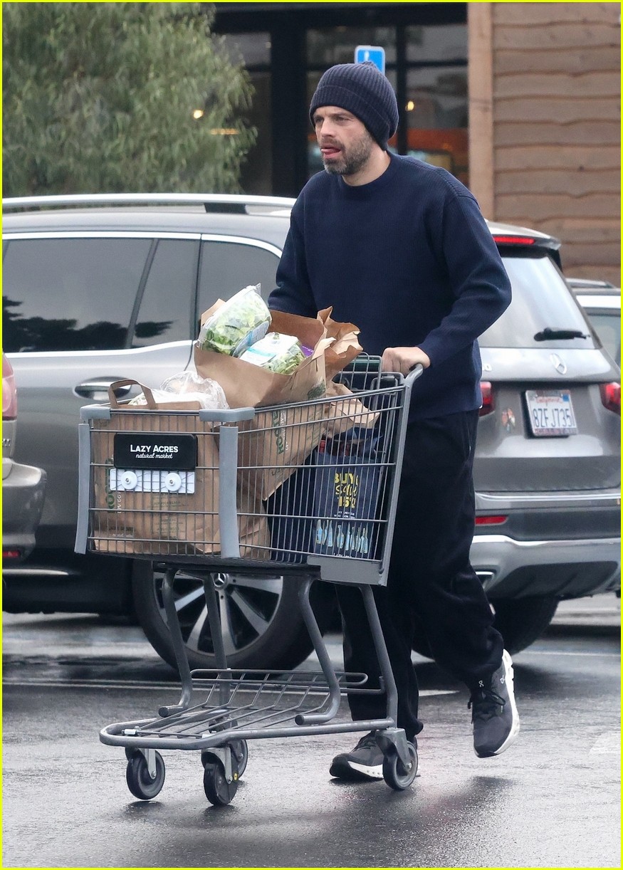 Sebastian Stan & Annabelle Wallis Spotted Shopping for Groceries on ...