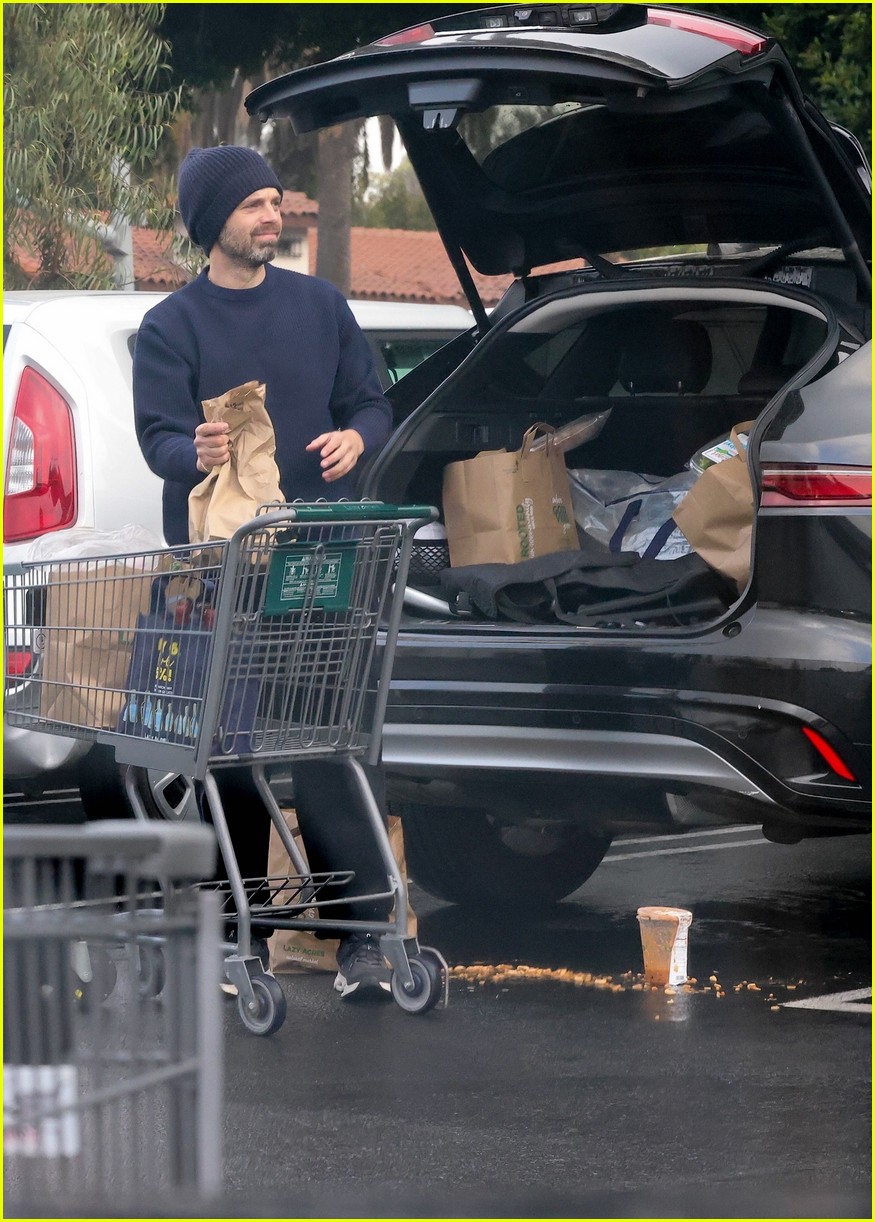 Sebastian Stan & Annabelle Wallis Spotted Shopping for Groceries on ...
